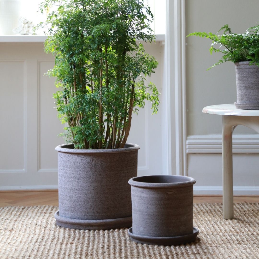 Bergs Potter Modena Planter w/ Saucer - Grey Raw | Tend Greenpoint