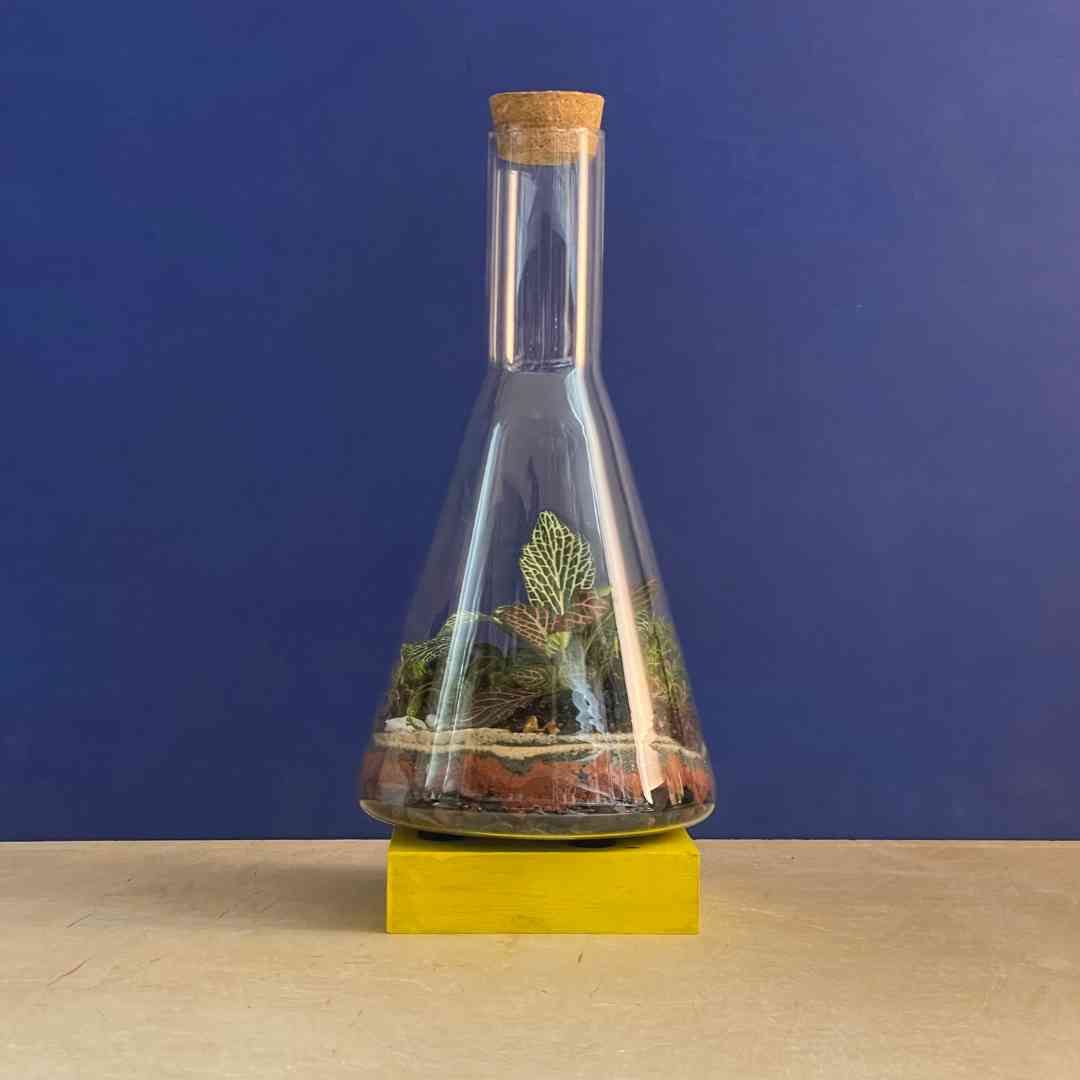 Terrart Flask Terrarium | Tend Greenpoint