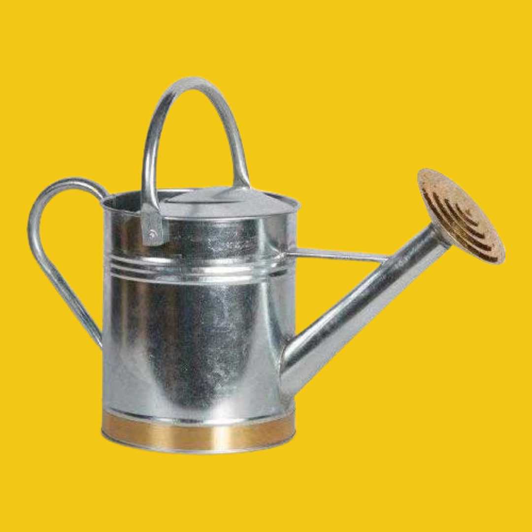 Watering Can - Galvanized | Tend Greenpoint