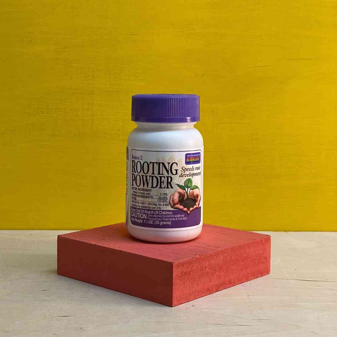 Bontone II Rooting Powder | Tend Greenpoint