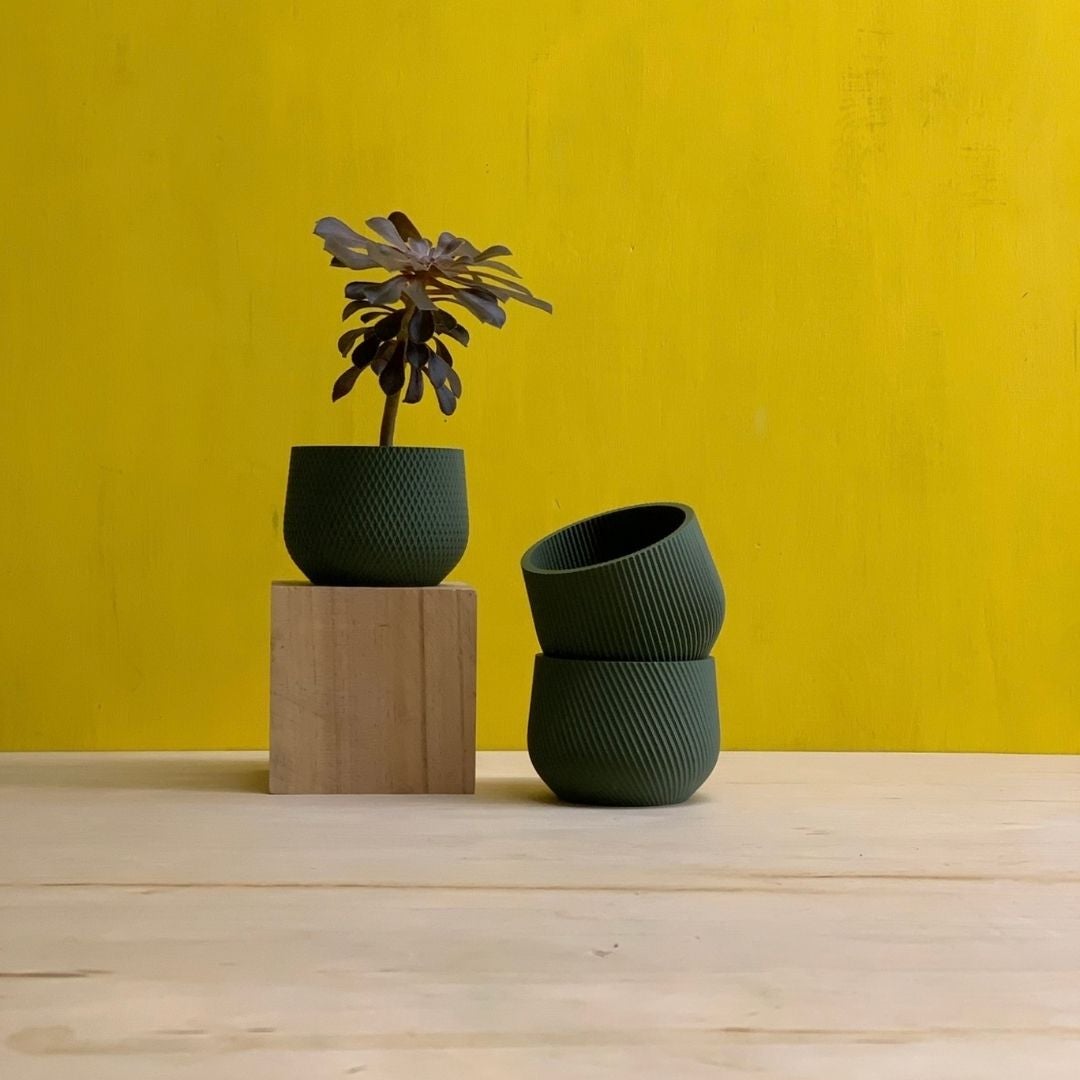 Conifer Mini Planter | Tend Greenpoint