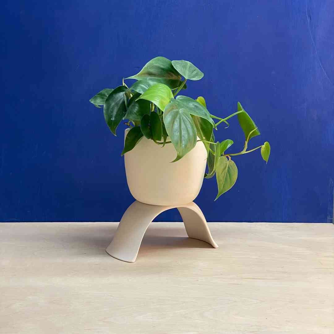 Carter & Rose High Rise Classic Planter | Tend Greenpoint