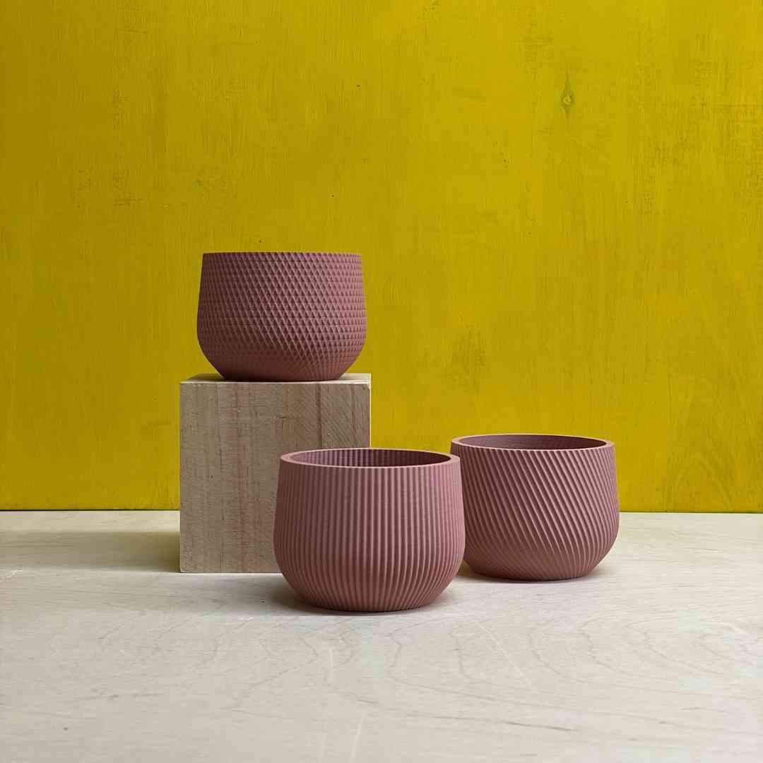 Conifer Mini Planter | Tend Greenpoint