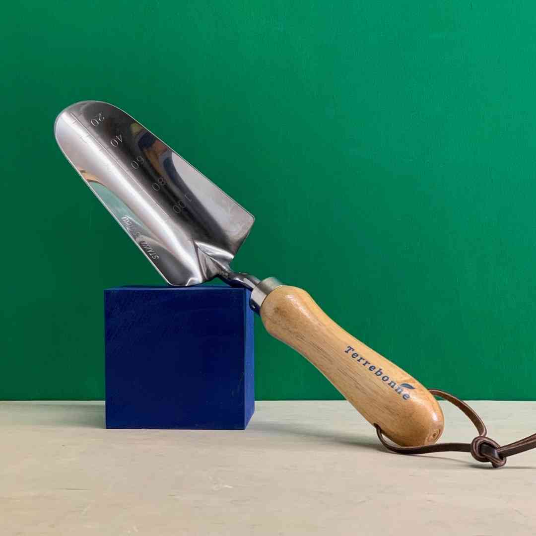 Hand Transplant Trowel - Stainless | Tend Greenpoint