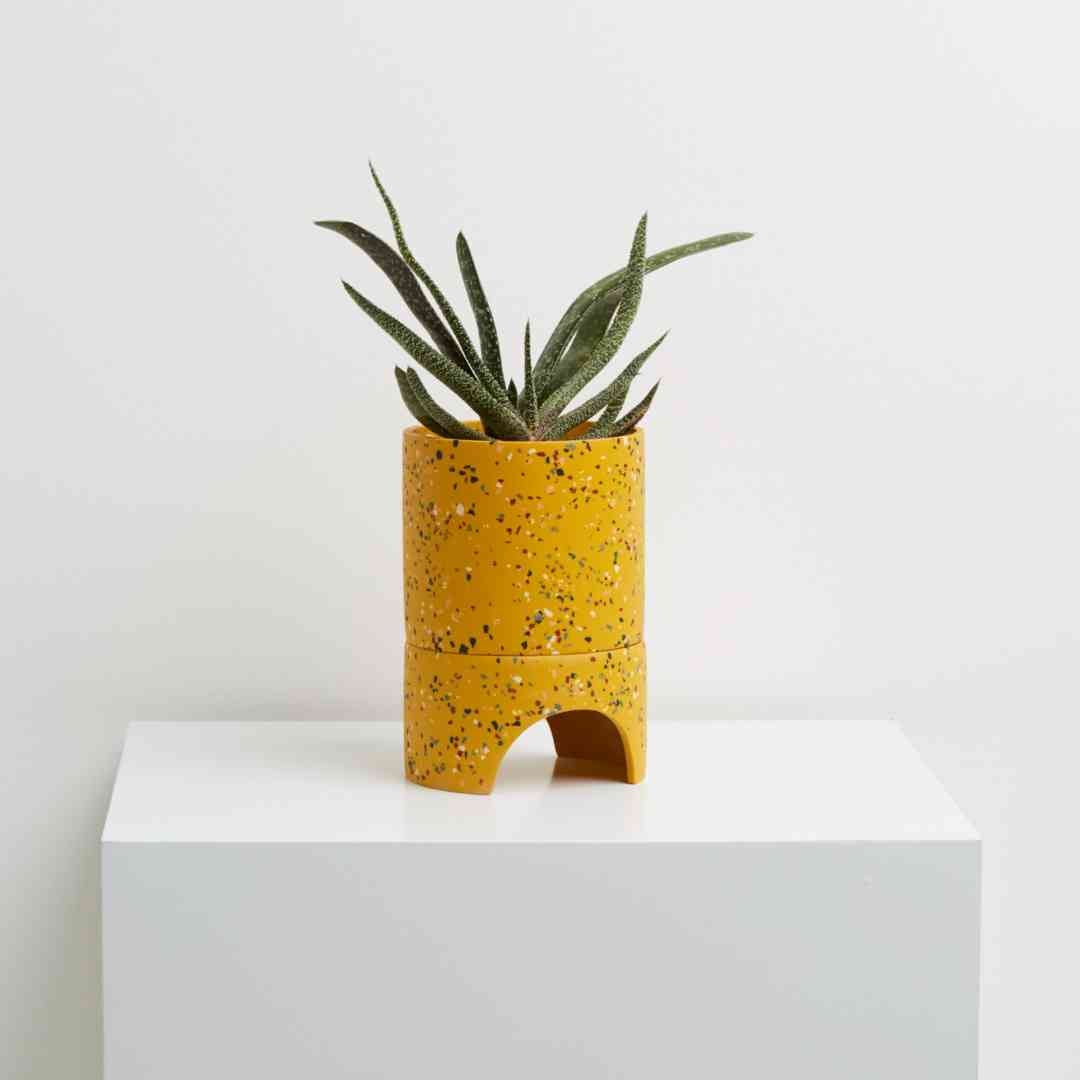 Capra Designs - Archie Planter w/ Saucer | Tend Greenpoint